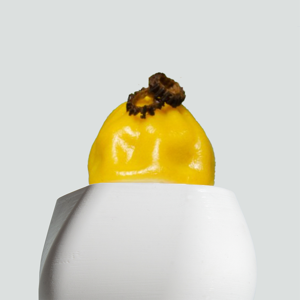 Chicken Morilles – The Poke Place